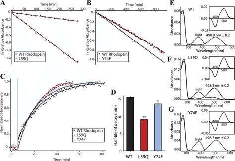 Parallel Shifts In Evolutionary Constraint Target Sites Controlling The Download Scientific