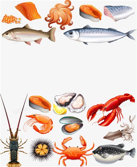 矢量鱼类海鲜PNG图片素材下载 矢量PNG 熊猫办公