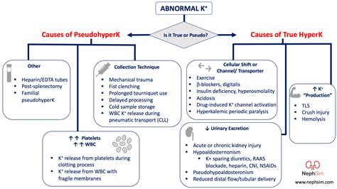 Case 54 Diagnosis And Conclusions