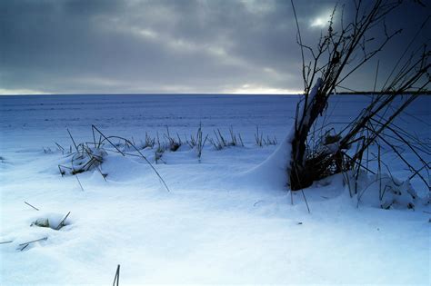Banco De Imagens árvore Horizonte Montanha Neve Inverno Nuvem