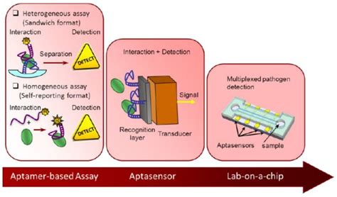 Chemosensors Mdpi On Linkedin Review Openaccess Nanomaterials Electrochemical Aptasensors