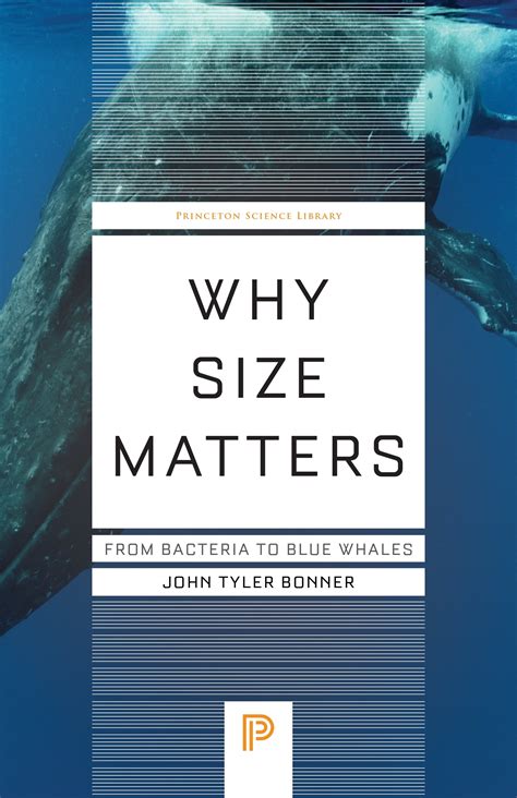 Why Size Matters Nokomis