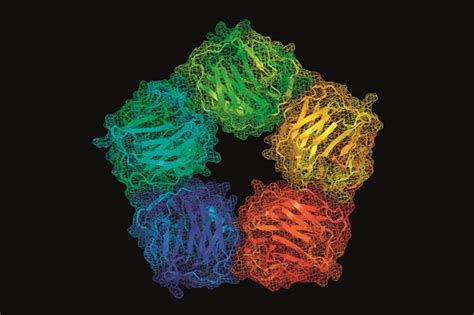 Punto de corte de proteína c reactiva como marcador pronóstico del resultado a largo plazo de la
