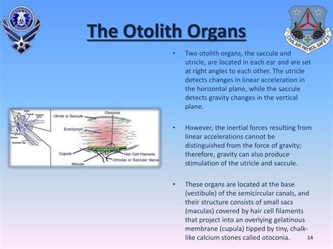 Ppt Spatial Disorientation Powerpoint Presentation Free Download
