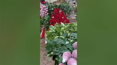 ফুল চাষী শেরে আলী চাচার মনের কথা Every Godkhali Flowers Followers Bajaj Youtube