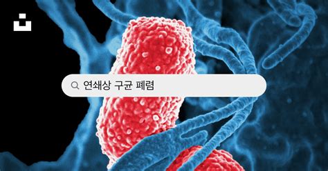 폐렴 연쇄상 구균 사진 Unsplash에서 무료 이미지 다운로드