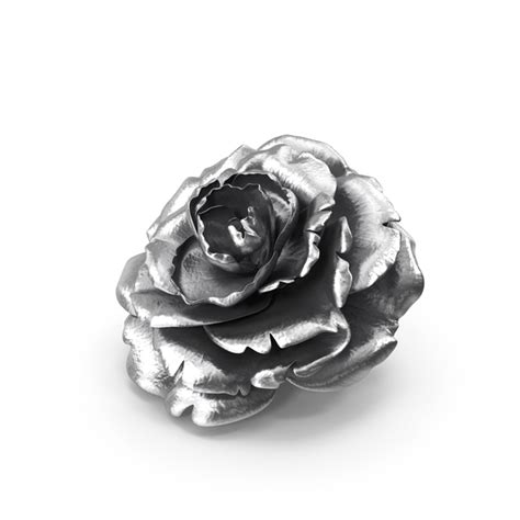 Rose Silver Bud Png Images And Psds For Download Pixelsquid S122278196