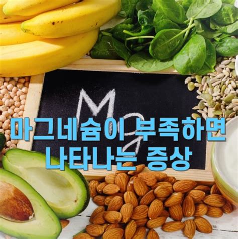 마그네슘 부족하면 나타나는 증상