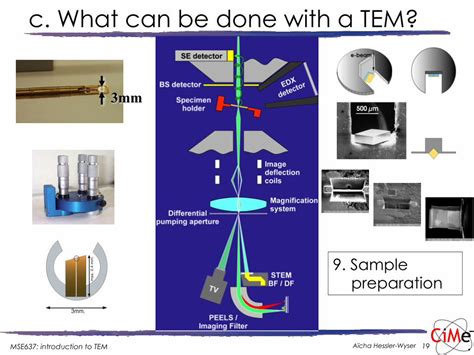 Pdf Transmission Electron Microscopy And Diffraction … · Transmission Electron Microscopy