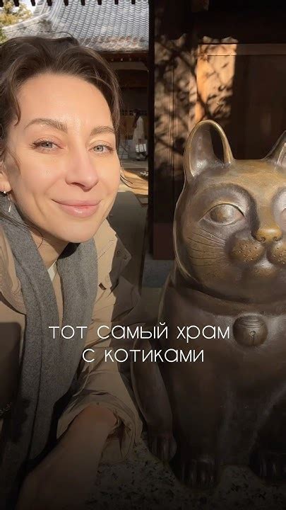 тот самый храм котиков в Токио токио япония Japantravel Youtube