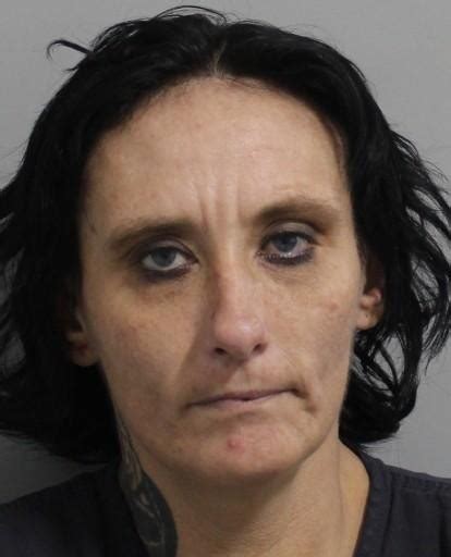 Lisa Johnson Booked For 0 00