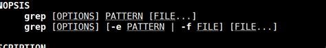Linux学习笔记之五遗漏的补充find 遗漏 Exec参数 Csdn博客