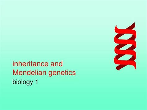 PPT Inheritance And Mendelian Genetics PowerPoint Presentation Free Download ID