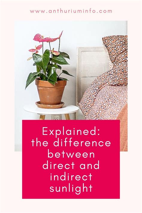 What Is Direct Vs Indirect Sunlight