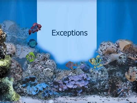 exceptions word文档在线阅读与下载 无忧文档