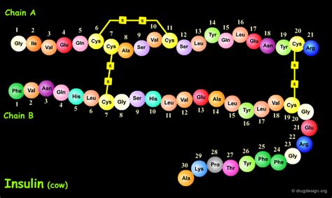 Protein Structure Drug Design Org