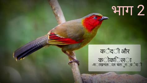 Kaidi Aur Kokila Hindi Class Kshtiz Explanation Part YouTube
