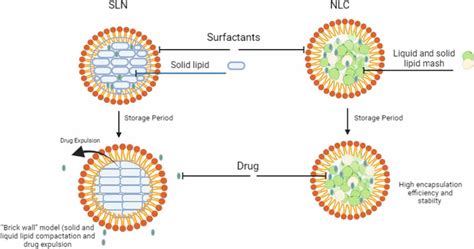 Representation Of Drug Positioning In Sln And Nlc Over The Storage