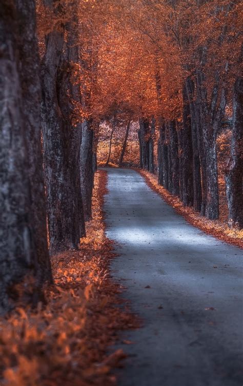 810x1290 Resolution Path Hd Photography 2023 810x1290 Resolution