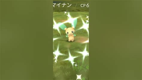 【ポケモンgo】磁力セミナータイムチャレンジ：マイナン！まさかの色違い！？個体値も良き！？ポケモンgo ポケモン Pokemongo