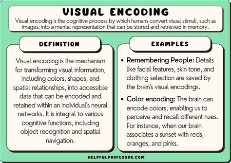 Visual Encoding 10 Examples And Definition 2025