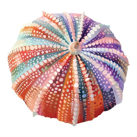 Sea Urchin Shell Vector Premium Ai Generated Vector