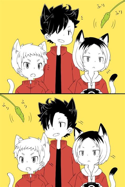 Las Mejores Versiones De Haikyuu 🏐🏐🏐 Haikyuu Haikyuu Chibi Neko