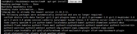 Linux Libpcap Dev Issue Knownsec Ksubdomain Github