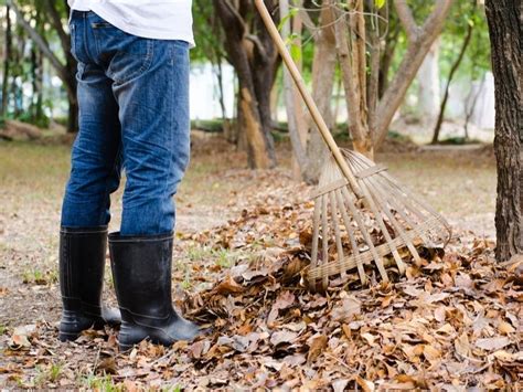 Essex County Leaf Collection Schedule For Newark 2023 Update Newark