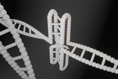 人工智能在肿瘤学多模态数据整合中的应用 知乎