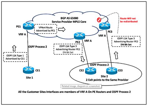 Kophyoccie Loop Prevention In Mpls L3vpn