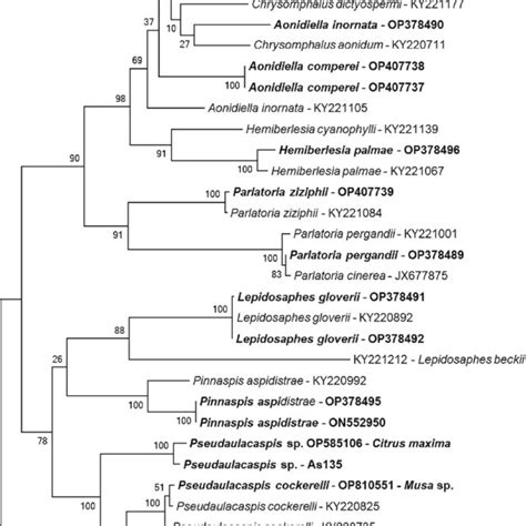 Tree With The Highest Log Likelihood 85308 Derived From Maximum
