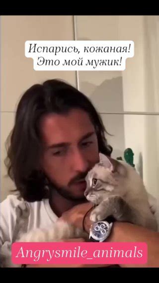 Клипы Домик для животных видео