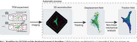 Figure 3 From A New 3d Finite Element Based Approach For Computing Cell Surface Tractions