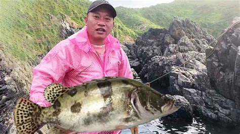 阿生终于有机会开始盘底潮坑，八爪青蟹鳗鱼桂鱼横行，直接全部打包带走！【赶海阿生】 Youtube