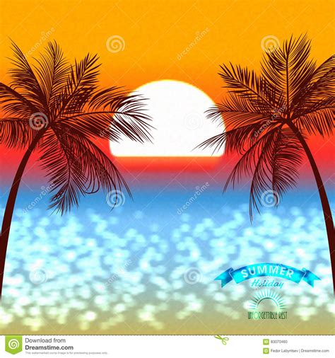 Puesta Del Sol De La Tarde De Un Sol Sobre Una Costa Tropical