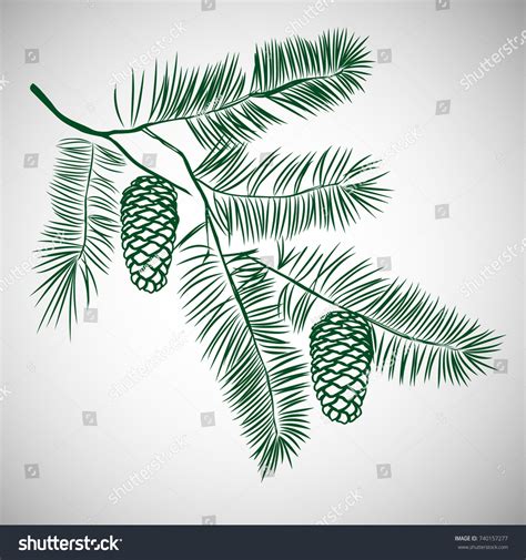 Hand Drawn Pine Tree Branch Ink Stock Vector Royalty Free Shutterstock
