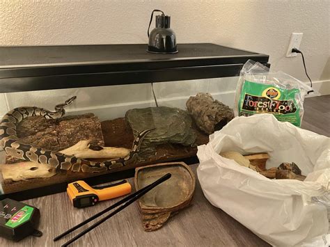 First Time Owner S Ball Python Kit R Orangecounty