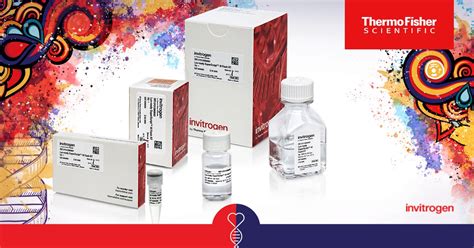 Marisa Azevedo On Linkedin Lyo Ready Superscript™ Iii Flash Reverse Transcriptase 60 U μl