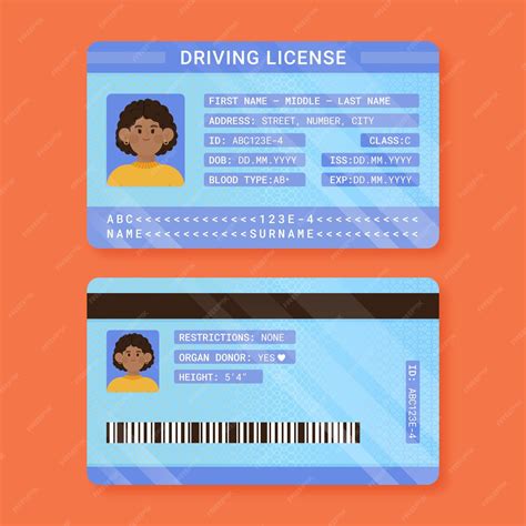 Free Vector Hand Drawn Driving License Template