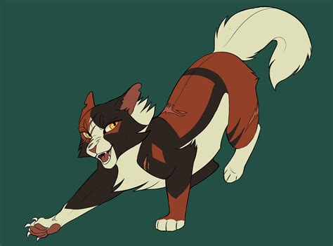 Mapleshade Warrior Cats Series Warrior Cats Books Warrior Cats Fan