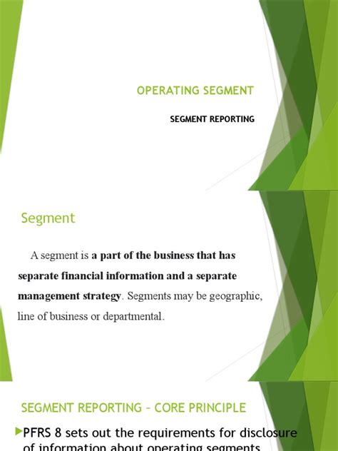 Segment Report Pdf Expense Business