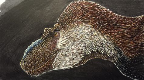 Daspletosaurus Torosus By Spinosaurus On DeviantArt