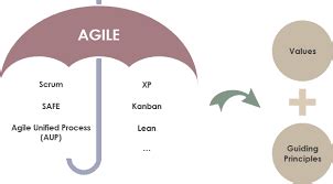 Agile Principles For Organizational Excellence Balencia Training And Consultations