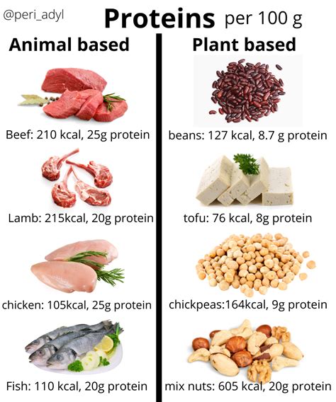 Protein Sources Animal Based Vs Plant Based