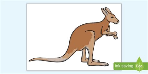 Extra Large Display Kangaroo Cut Out Twinkl EYFS