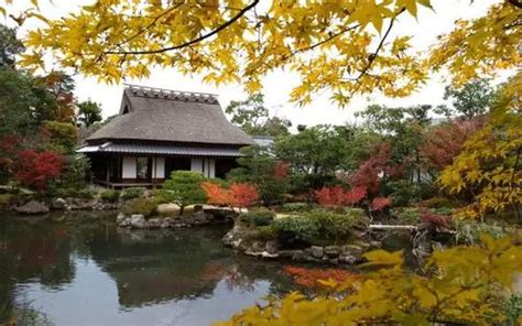 在日本设立公司的注册流程