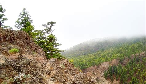 Aprender A Programar Con Python Funciones Exec Hash Y Zip