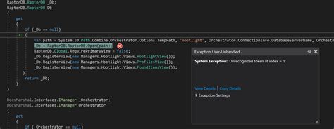 System Exception Unrecognized Token At Index Issue Mgholam RaptorDB Document GitHub