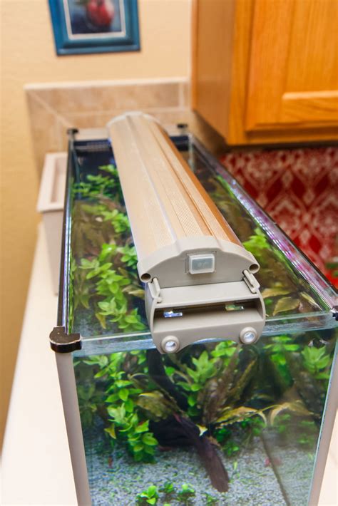 Running Your Spec Aquarium Topless